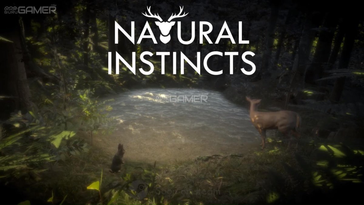 Discover The Nature And Protect Wild Animals In 'Natural Instincts'