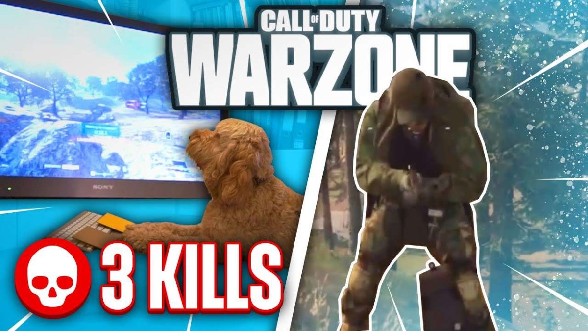 YouTuber To Teach Dog To Play Call Of Duty: Warzone