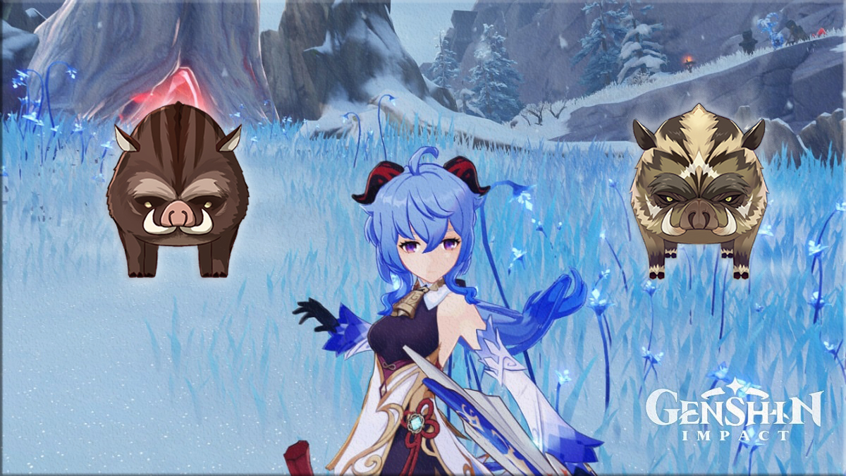 Where To Find Boars In Genshin Impact & Get Unlimited Raw Meat