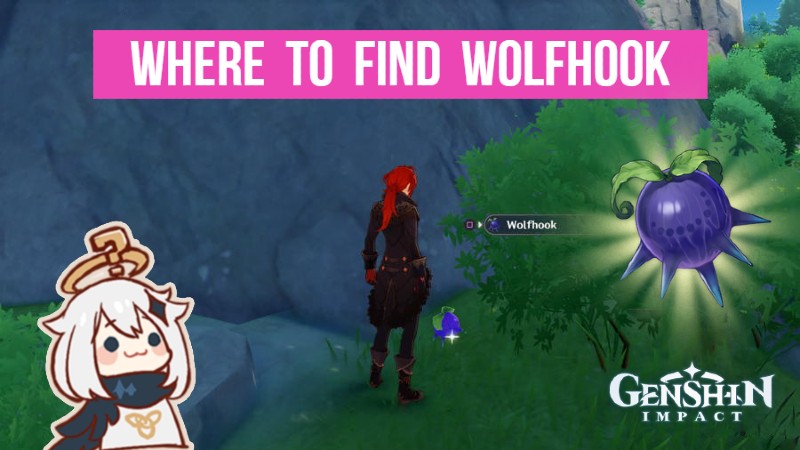 Where To Find Wolfhook Genshin Impact & What It's Used For