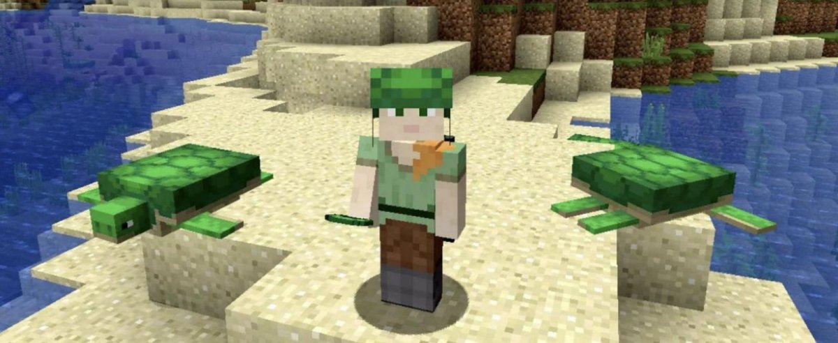 Top 3 Things You Can Do With Turtles In Minecraft