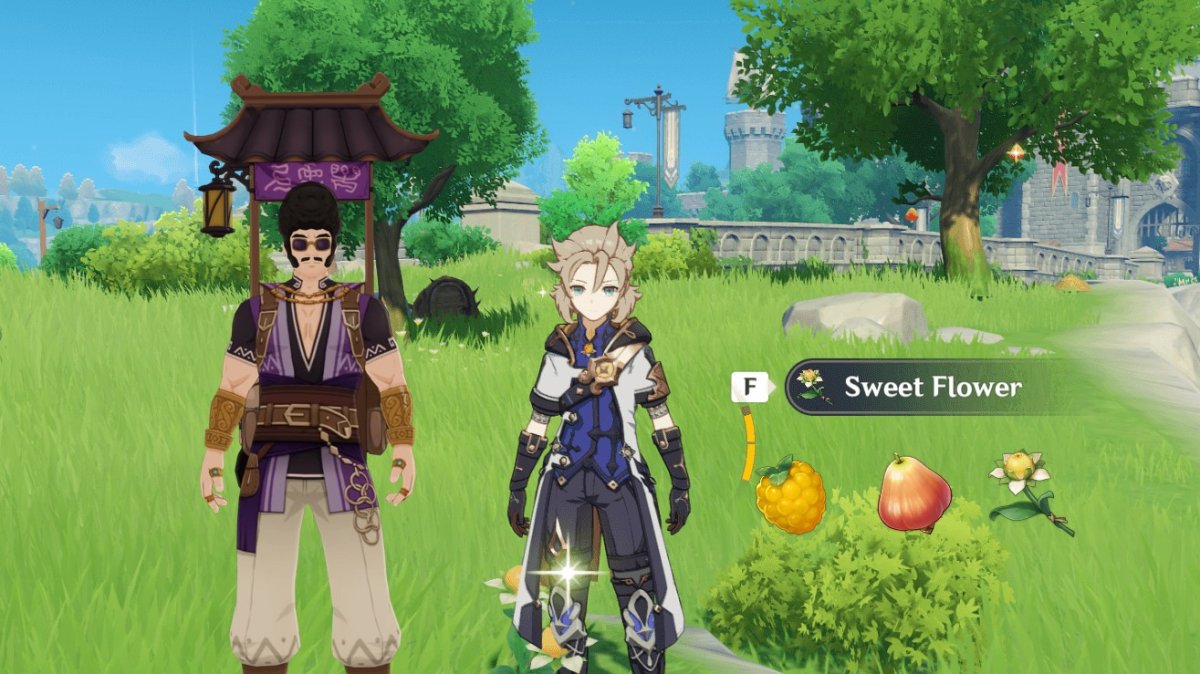 Where To Farm Sweet Flowers, Sunsettia & Berry in Genshin Impact