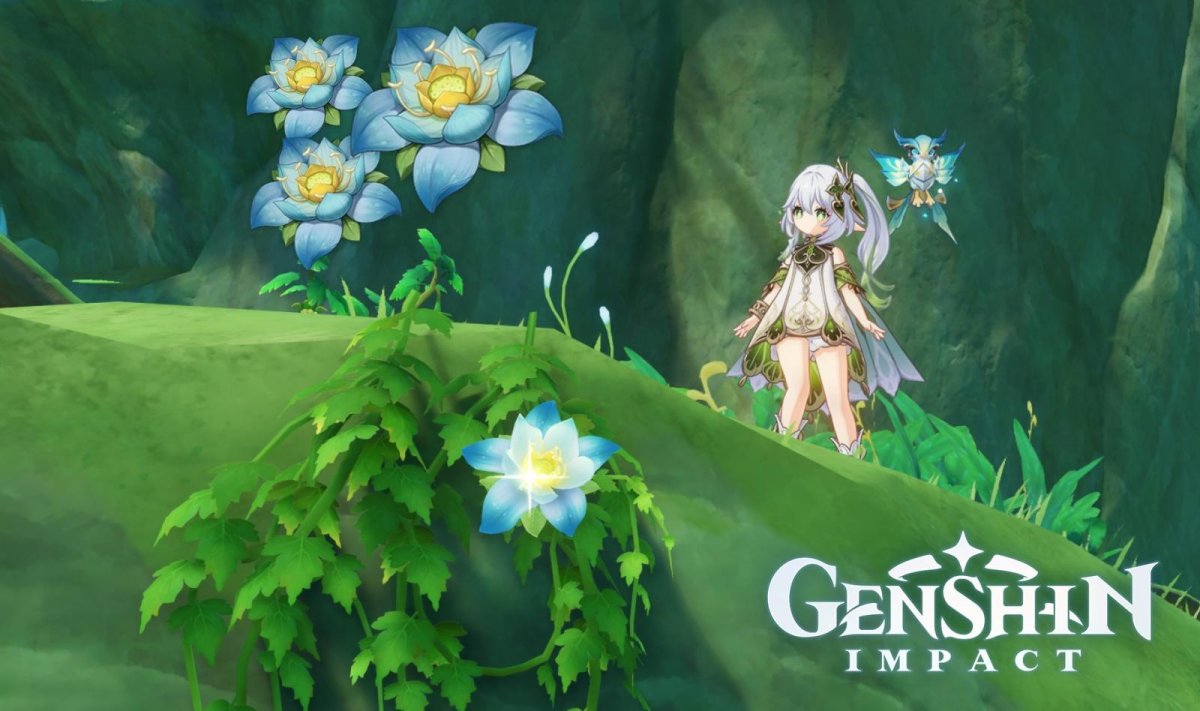 All 68 Kalpalata Flower Locations In Genshin Impact For Nahida & Dori