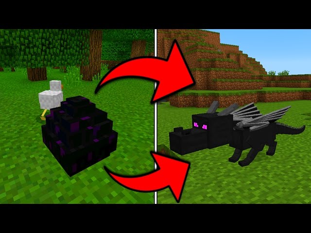 How To Hatch A Dragon Egg in Minecraft? | Gurugamer.com