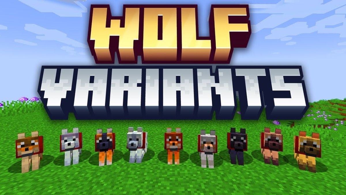 All 9 Minecraft Wolf Variants: Locations & Rarity [Ranked]