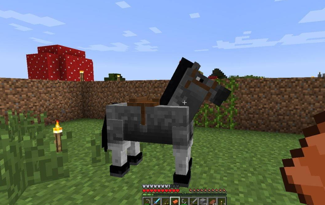 Everything You Should Know About Horses In Minecraft